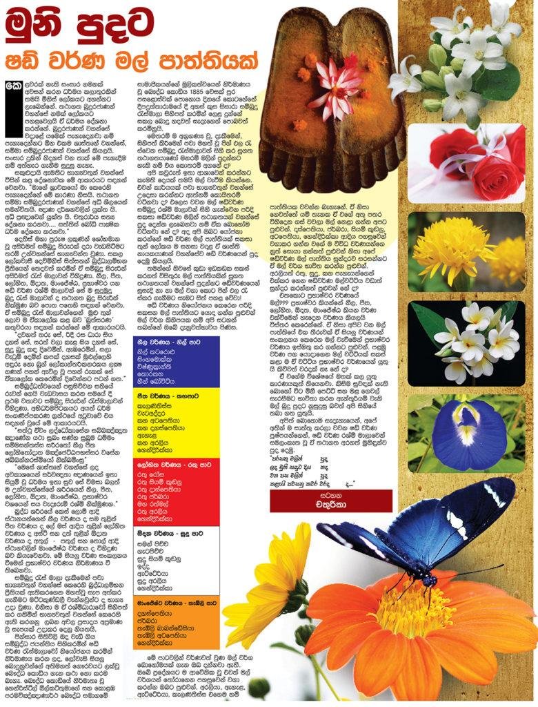 මුනි පුදට ෂඩ් වර්ණ මල් පාත්තියක් - Mahamegha Magazine